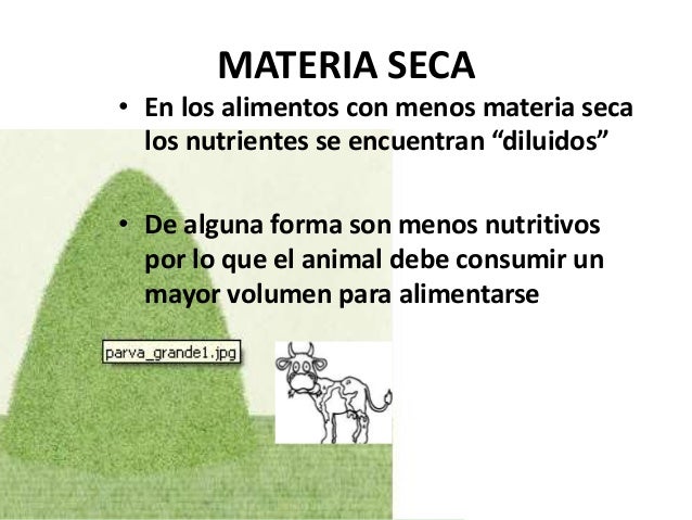 Clase materia seca