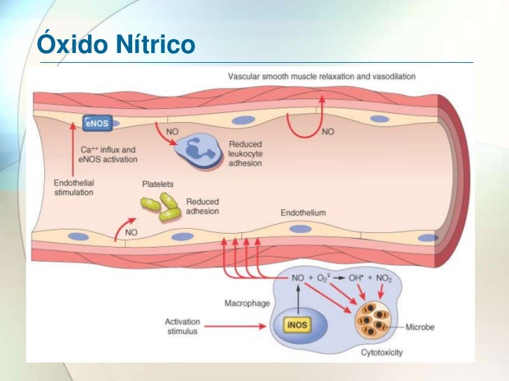 Clase mediadores quimicos de la inflamacion