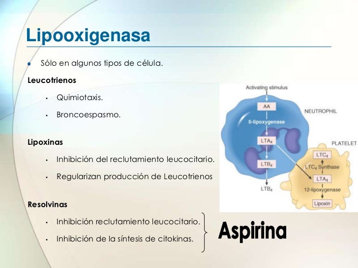 Clase mediadores quimicos de la inflamacion