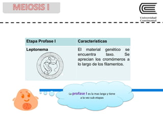 Clase meiosis y gametogenesis - Universidad Continental.pptx