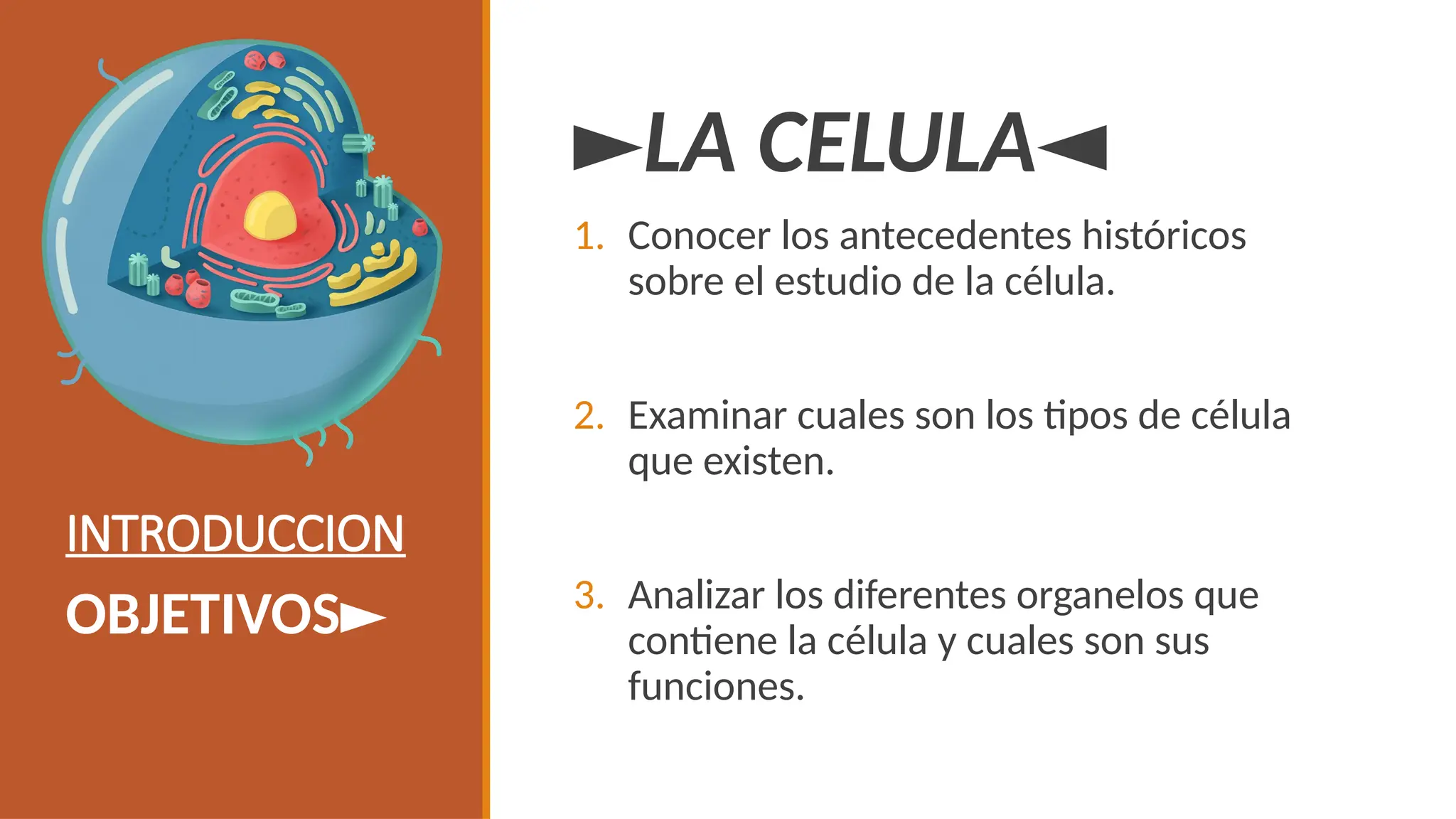 PARTES DE LAS CELULA E HISTORIA CEL.pptx