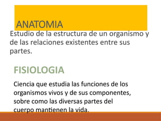Clase N°1 Anatomia (1).pptxscascascascas | PPTX