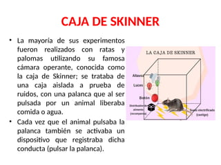 PSICOLOGIA DEL APRENDIZAJE y relaciones humanas | PPTX