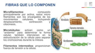 Estructura y función celular para estudiantes de enfermería y medicina ...