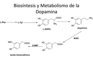 Inyección De Dopamina