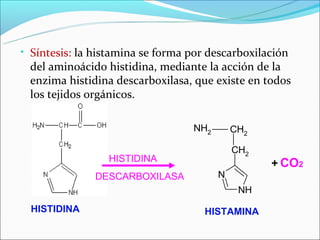Estructura De Histamina