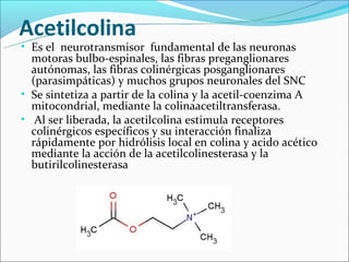 Clase nº 3 sistema nervioso autónomo | PPT