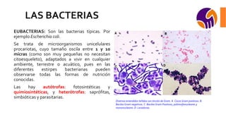Clase n°3_(T)_Estructura Bacteriana.pptx