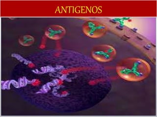 Clase n° 5 naturaleza del antigeno y factores de inmunogenicidad.pptx ...