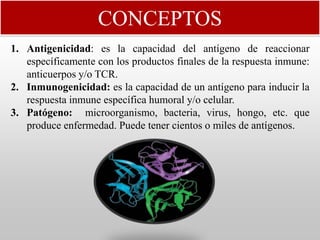 Clase n° 5 naturaleza del antigeno y factores de inmunogenicidad.pptx ...