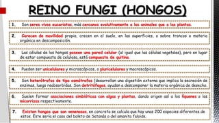 CLASE Nº6 - CLASIFICACIÓN DE LOS SERES VIVOS - DOMINIO EUKARYA ...