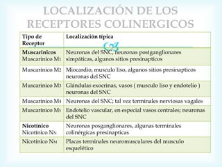 Clase nº 8 trasmision colinergica | PPTX