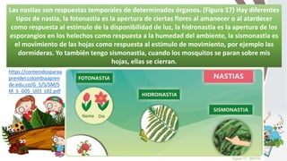 Clase_Naturales_5_05-25-23_Funciones de relacion -seres vivos-.pptx