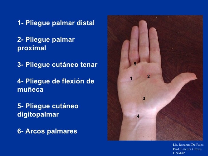 Teórico Ortesis- Primera Clase