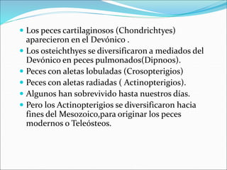 CLASE OSTEICHTHYES (2).ppt