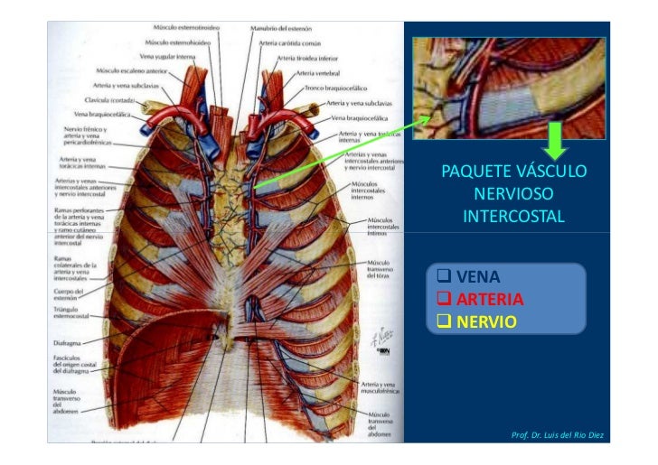 Clase para los alumnos de clinica quirurgica neumotorax prof. dr. lui…