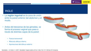 Clase pared abdominal dr molina | PPTX