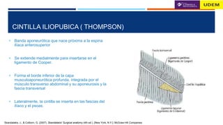 Clase pared abdominal dr molina | PPTX