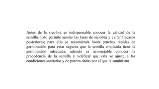 Clase pasto clima calido | PPTX