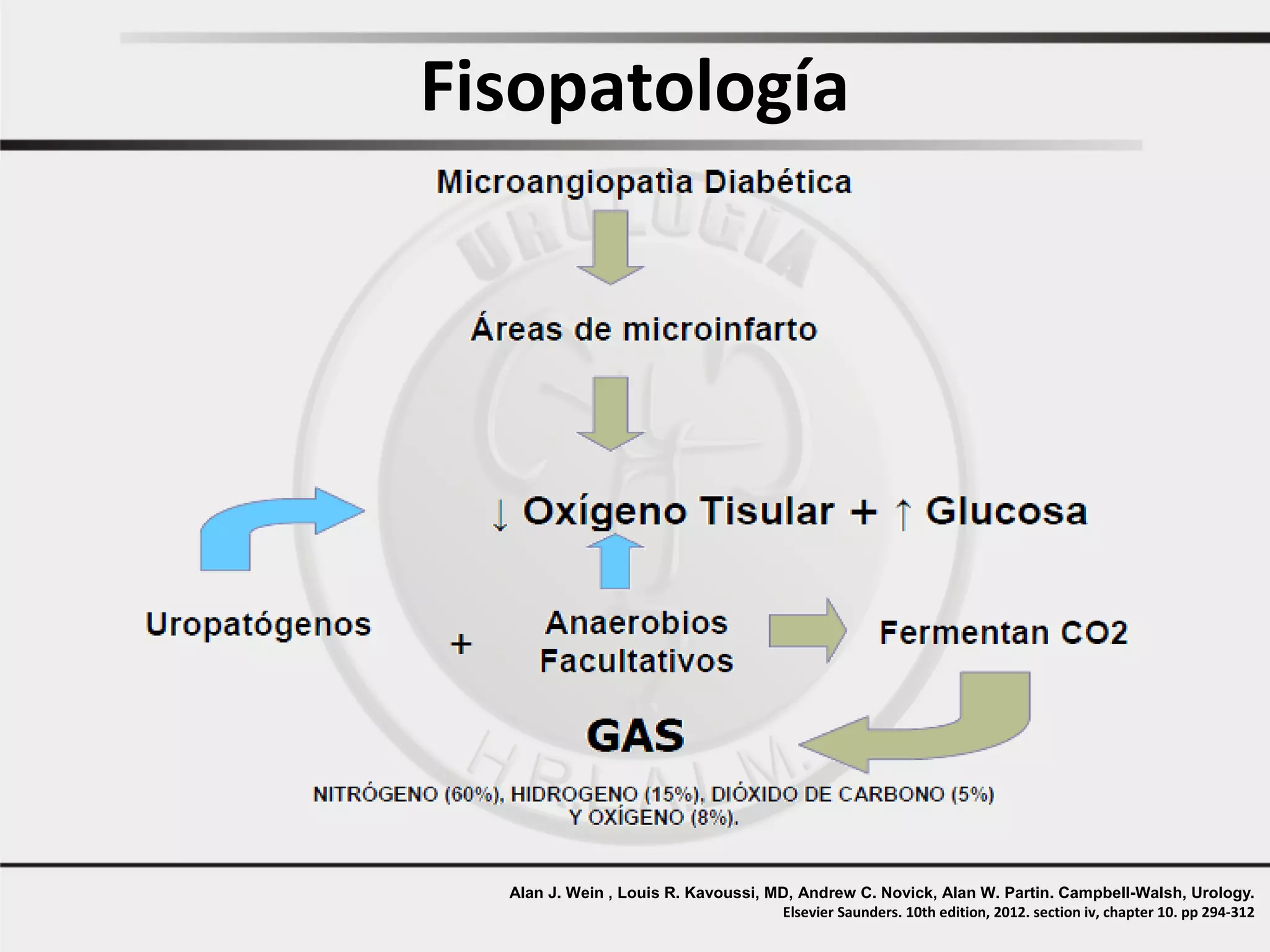 Clase pielonefritis enfisematosa huang | PPT