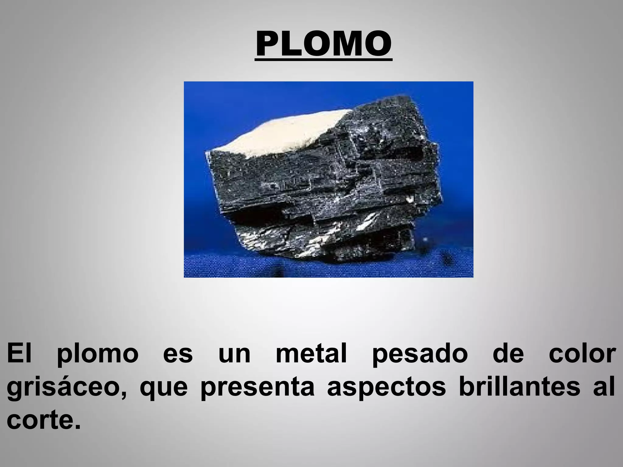 Clase plomo | PPT | Blood Disorders | Diseases and Conditions