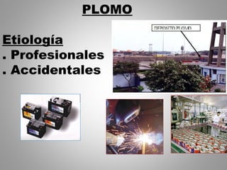 Clase plomo | PPT