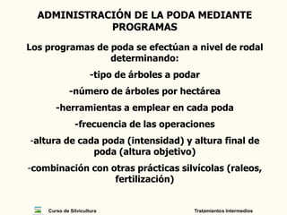 Tipos de Podas o raleos en árboles frutales.pdf