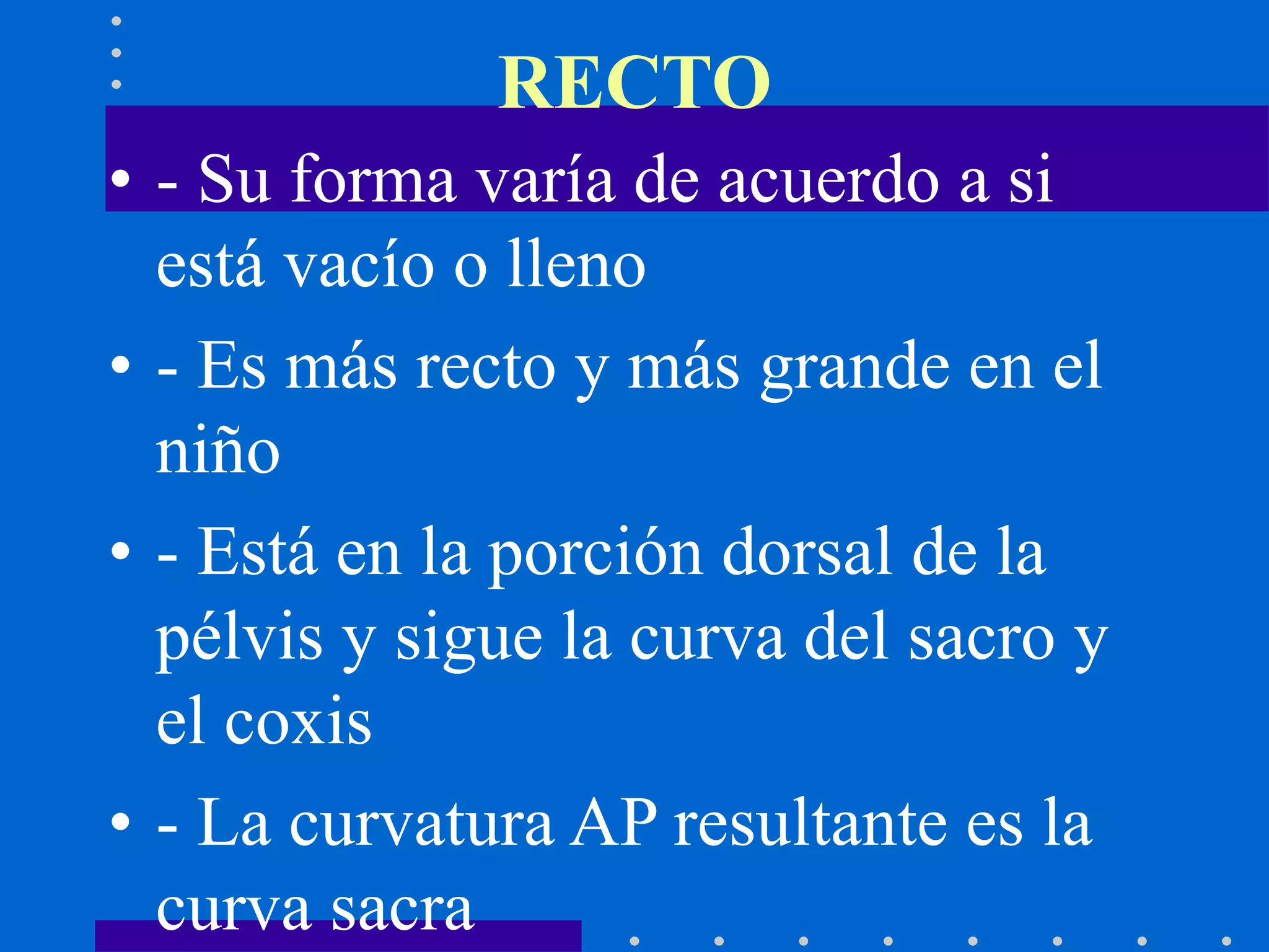 CLASE RECTO Y ANO.ppt