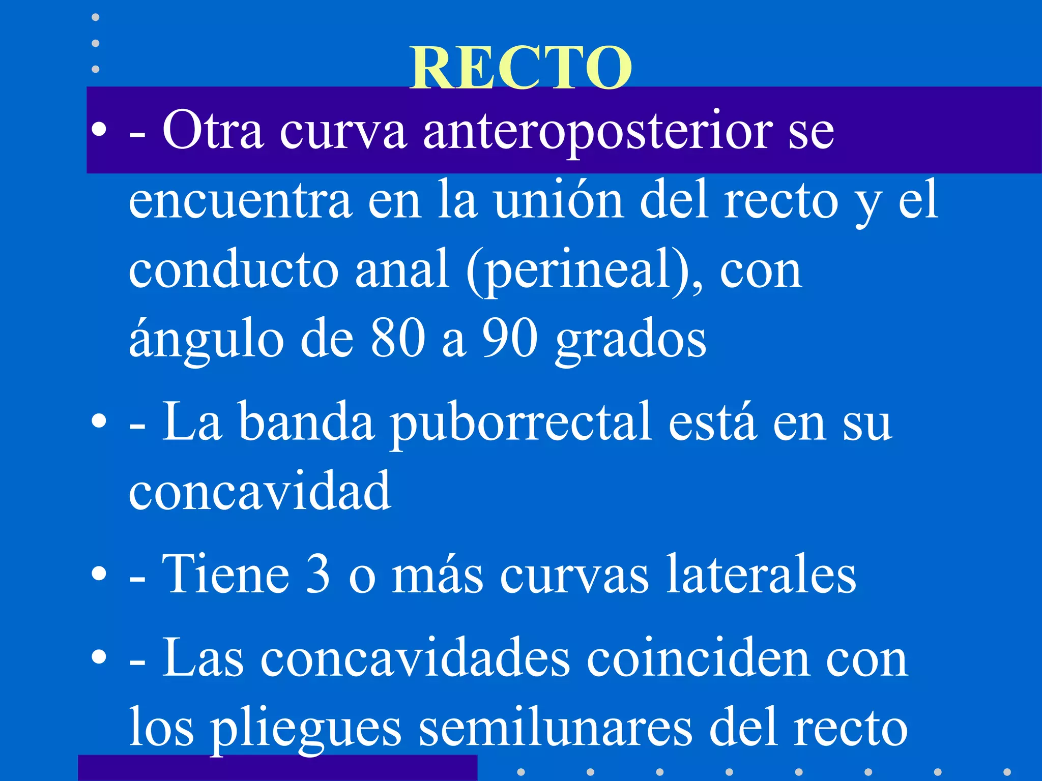 CLASE RECTO Y ANO.ppt