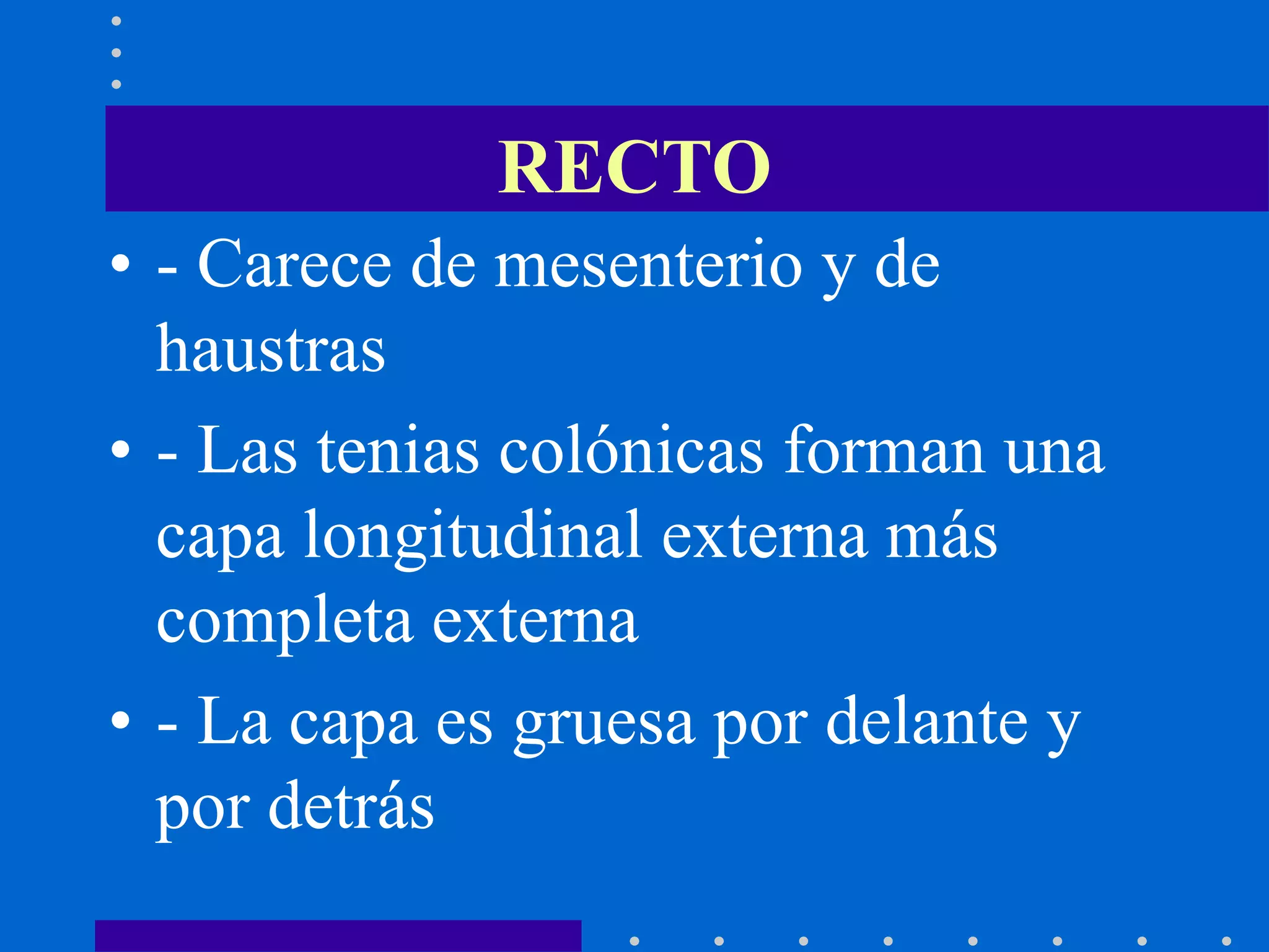CLASE RECTO Y ANO.ppt
