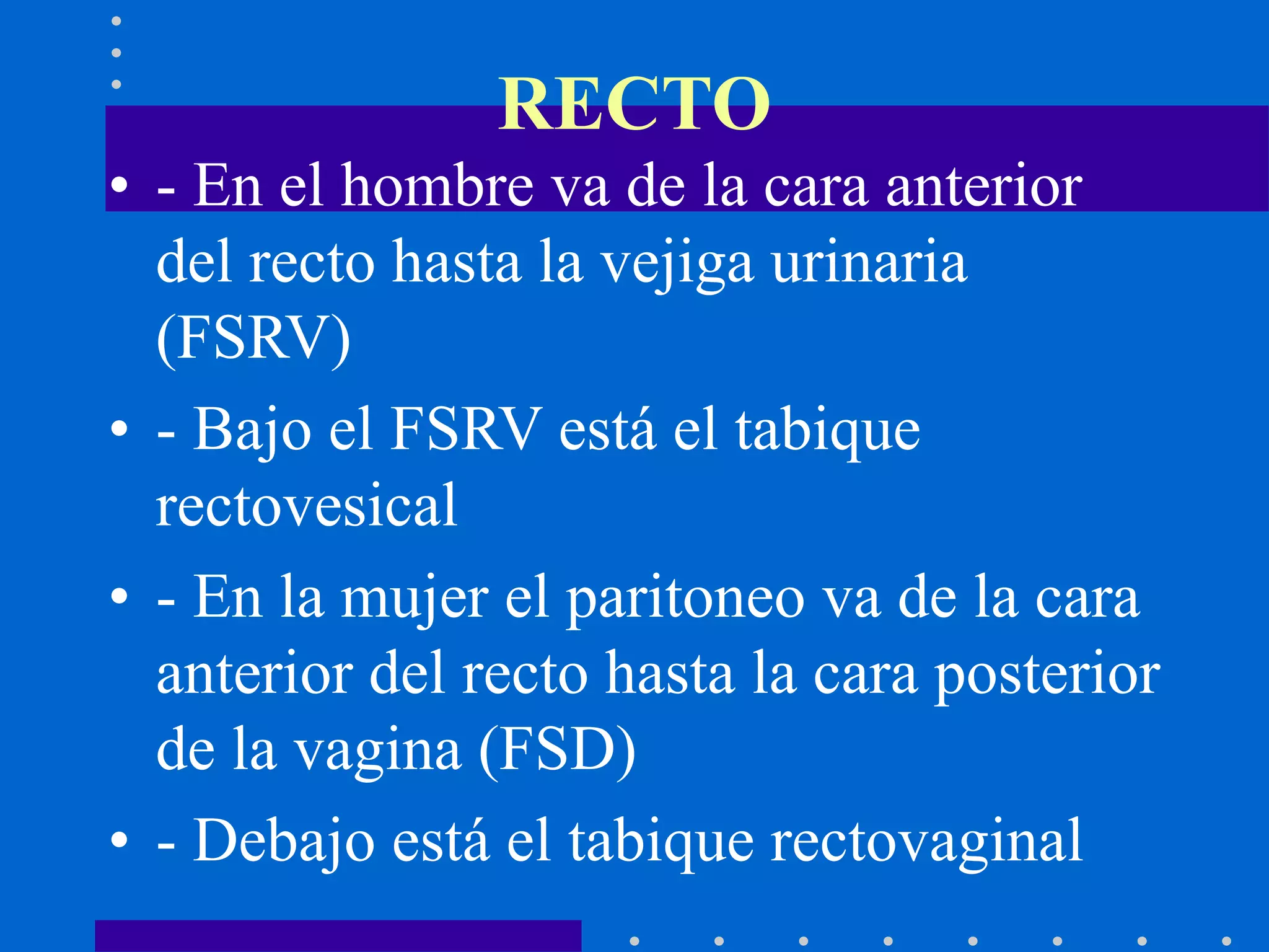 CLASE RECTO Y ANO.ppt