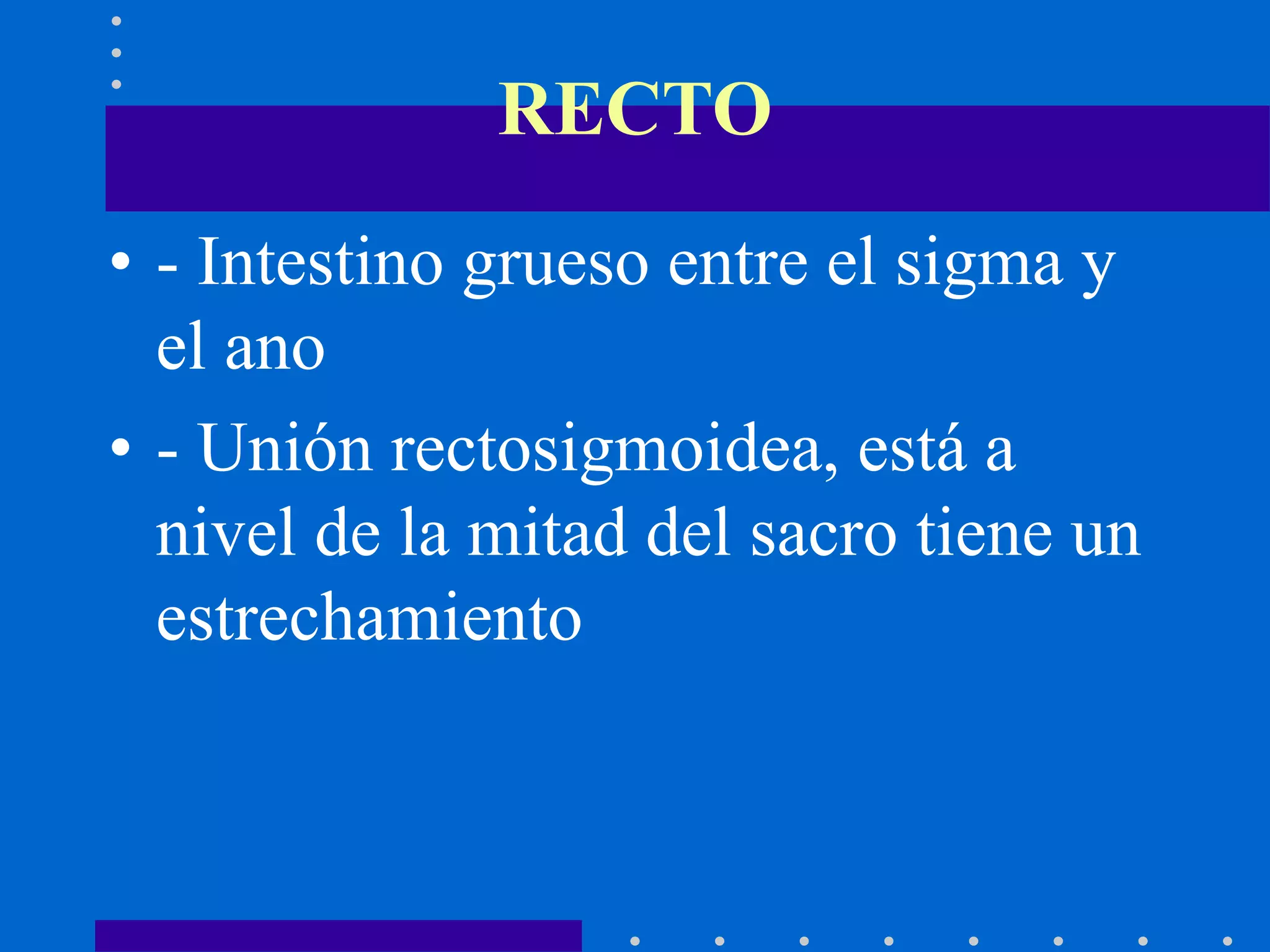 CLASE RECTO Y ANO.ppt