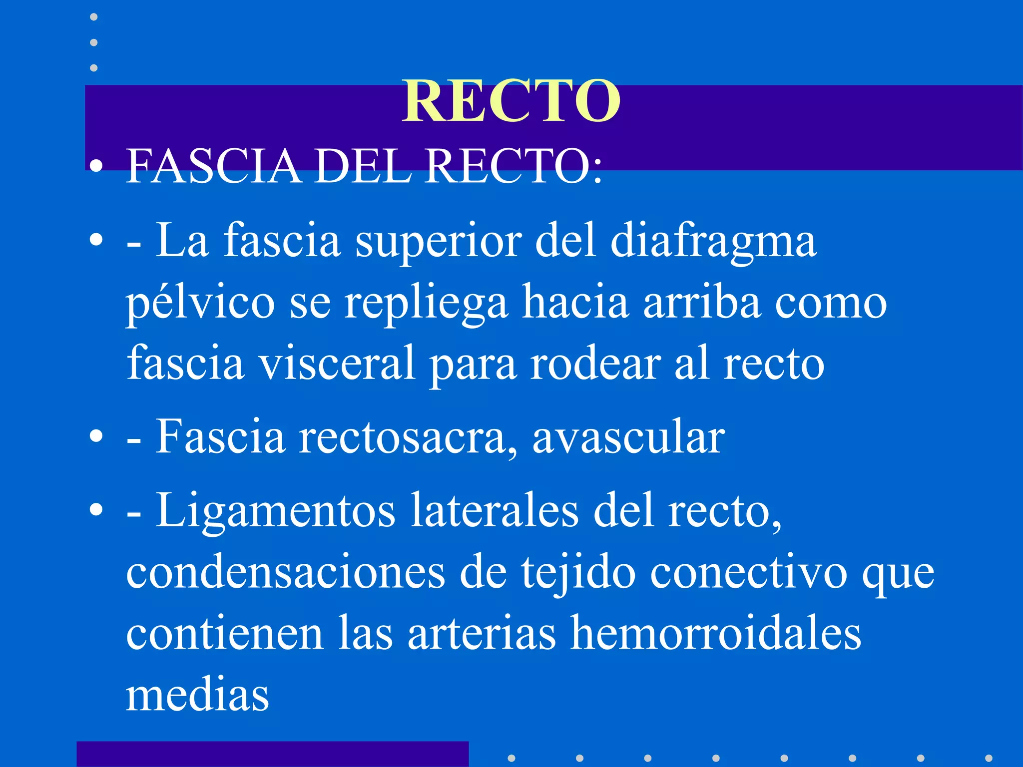 CLASE RECTO Y ANO.ppt