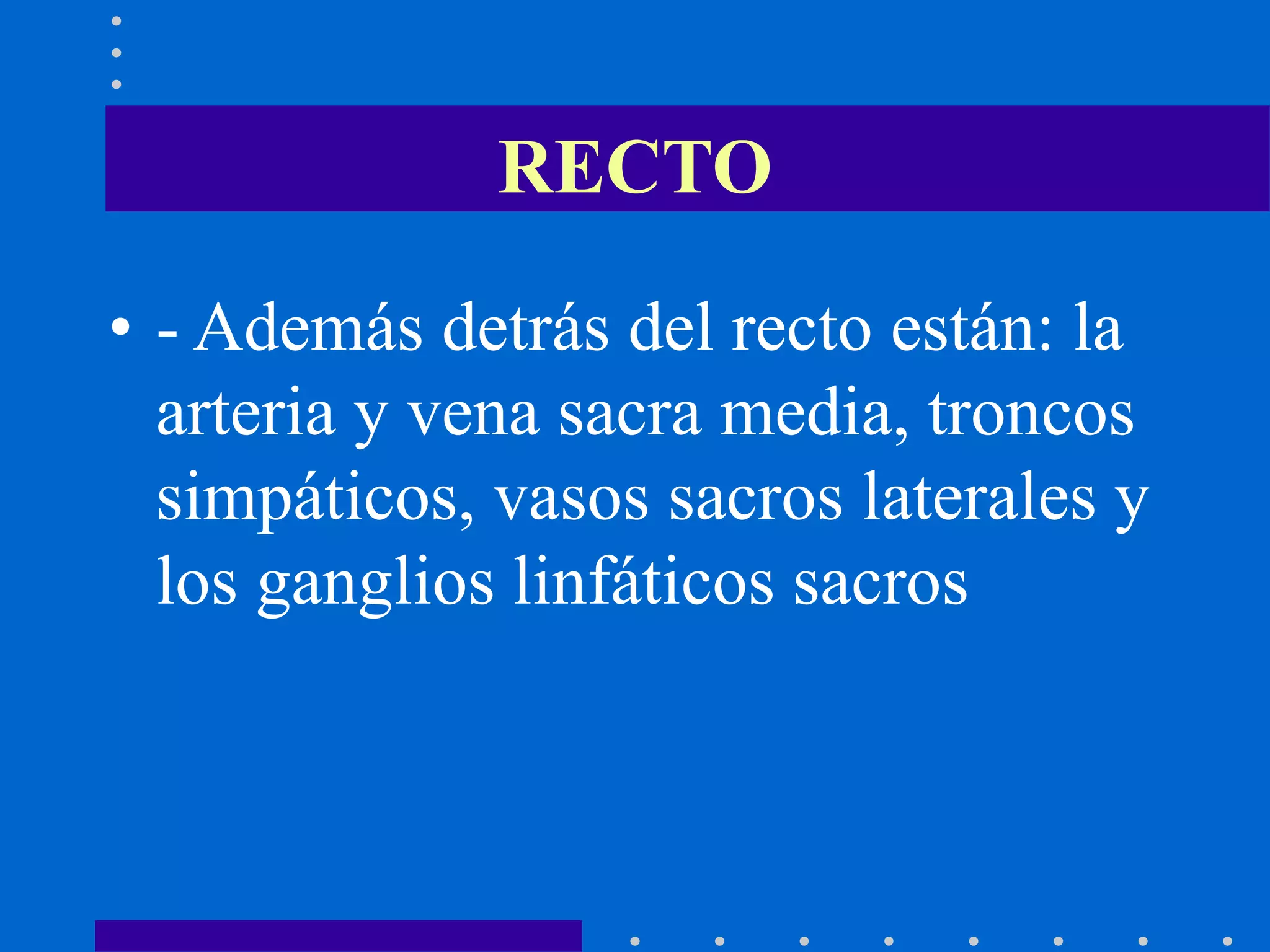 CLASE RECTO Y ANO.ppt