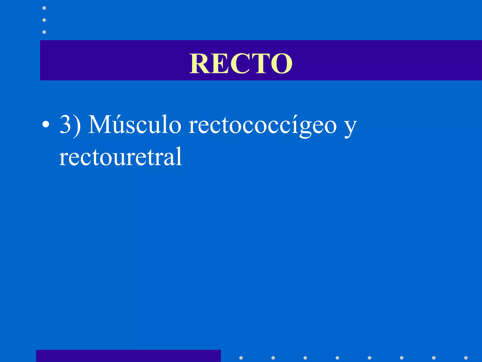 CLASE RECTO Y ANO.ppt