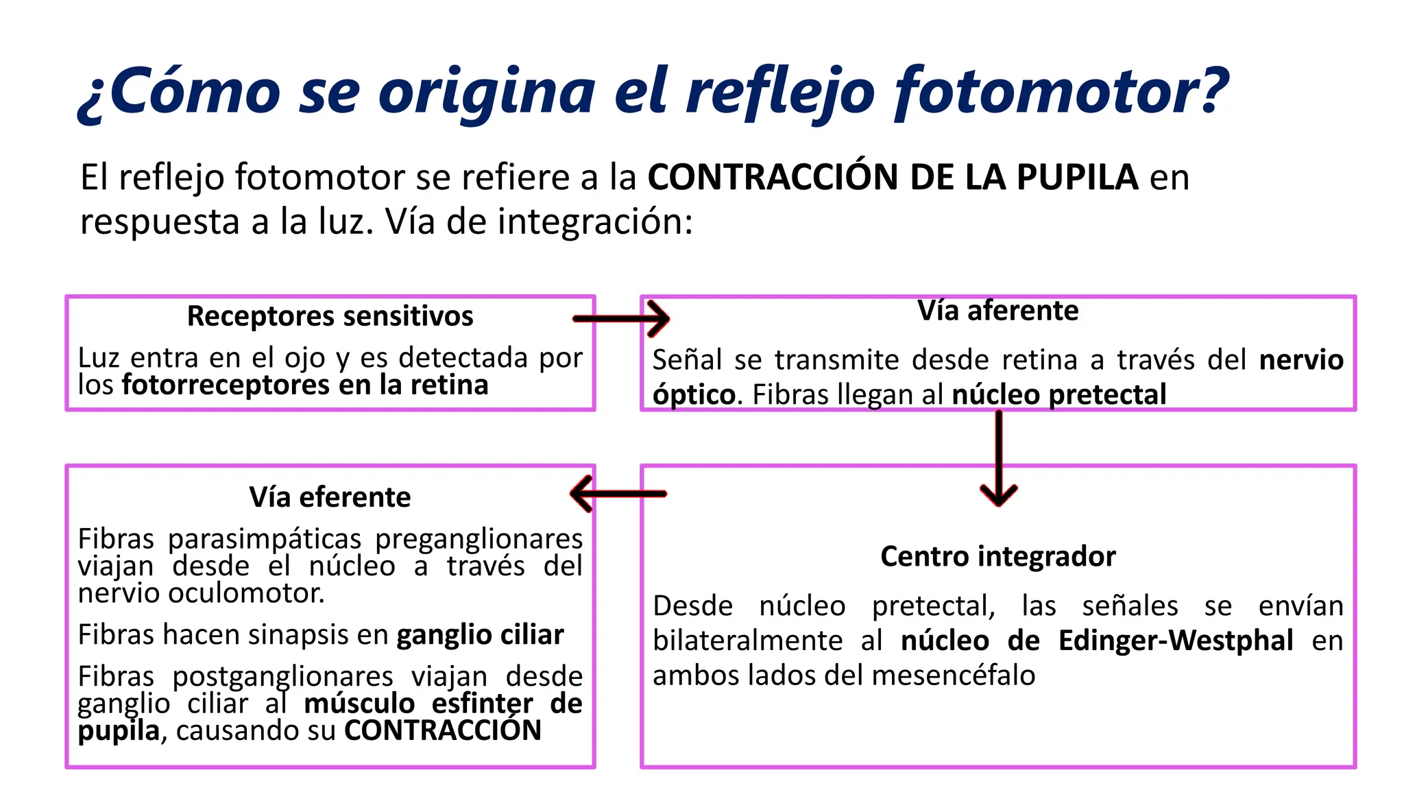 Clase reflejos y músculos intrinsecos.pptx