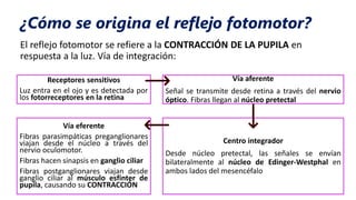 Clase reflejos y músculos intrinsecos.pptx
