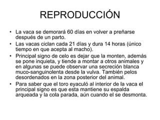 Clase reproducción, gestación y parto | PPT