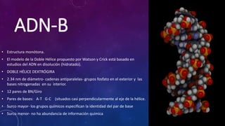 Clases de adn | PPTX