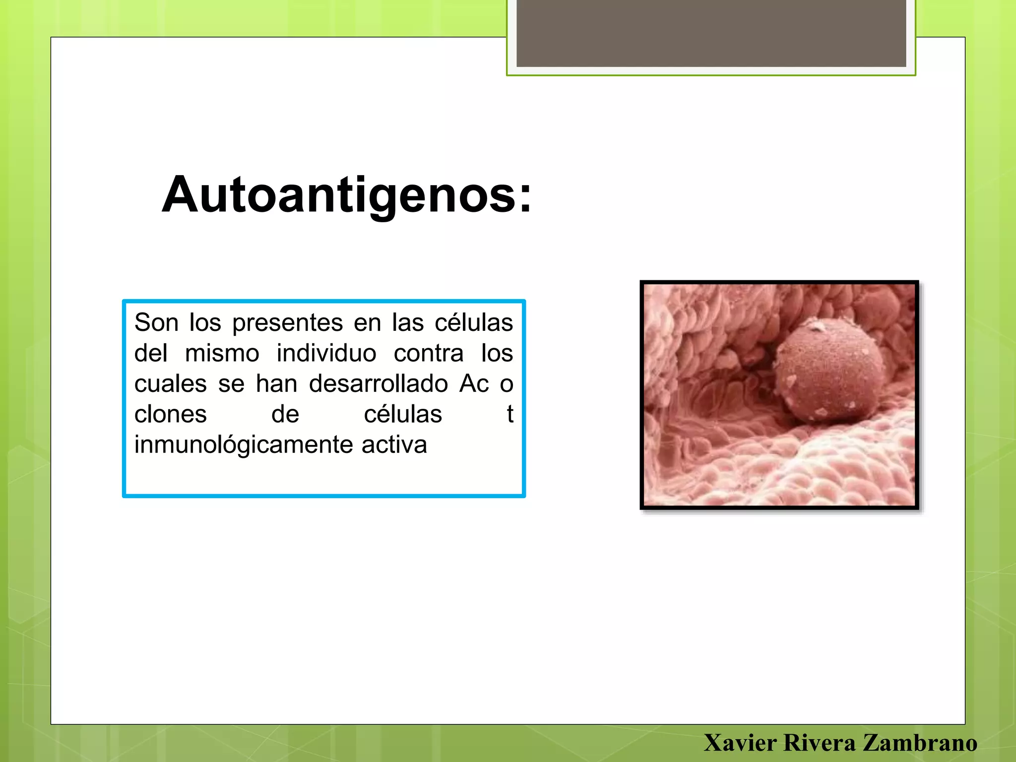 Clases de antigenos | PPTX