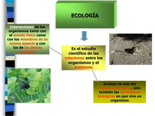 Clases de ecologia y ecosistema itvl | PPTX