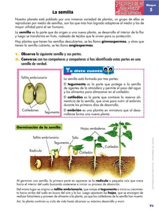 clases de energia.pdf