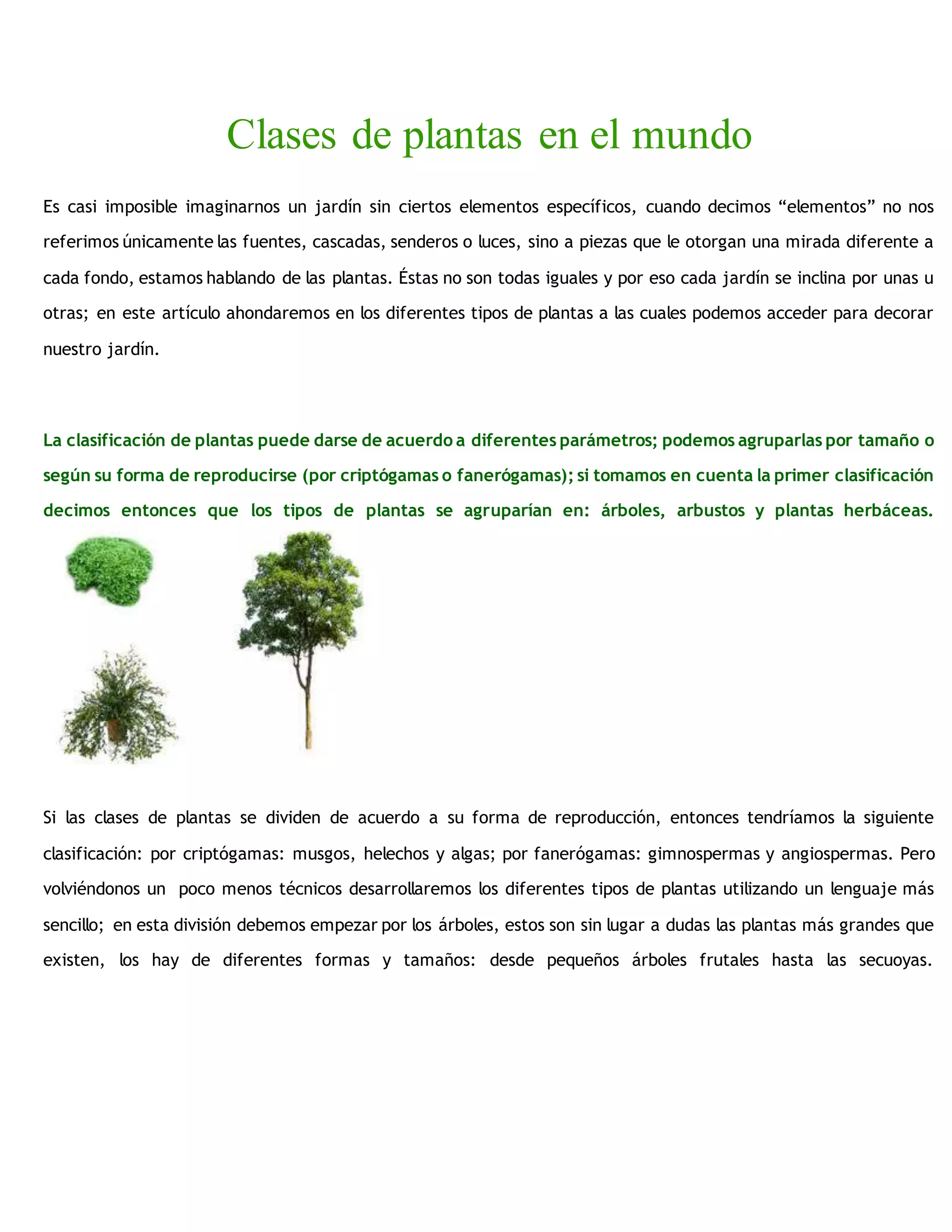 Clases de plantas en el mundo | DOCX