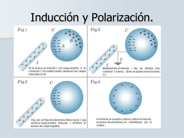 Inducción y Polarización – El Mundo de la Física