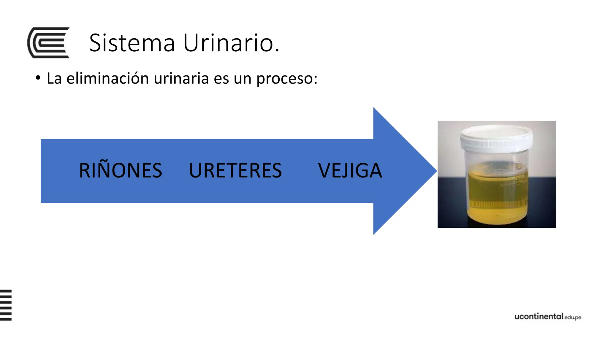 Clase Semana 10pptx Para Poner En Práctica Ppt 