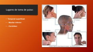 clase semana 9 SIGNOS VITALES Y EXAMEN FISICO.pdf