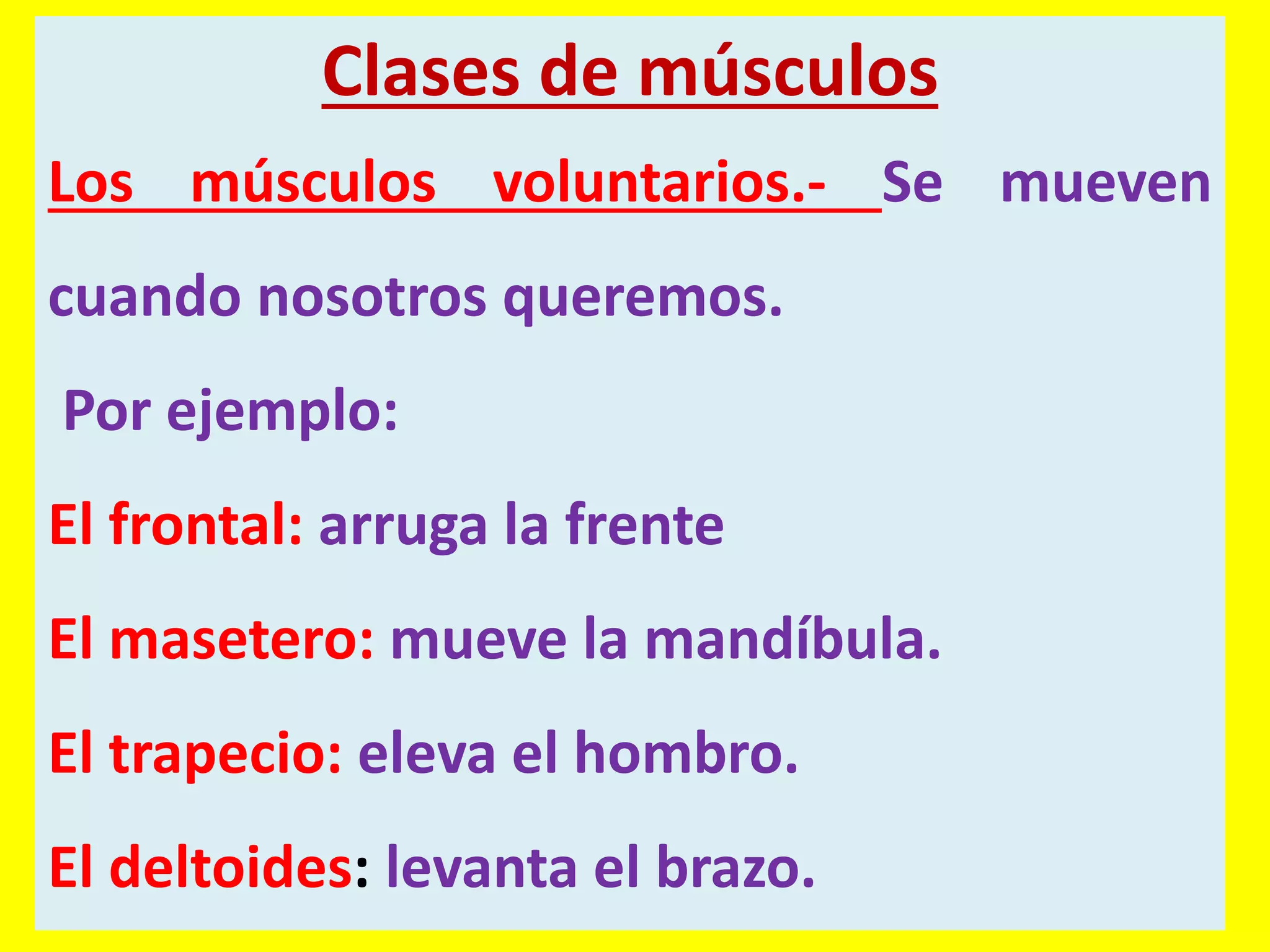 Clases musculos | PPT