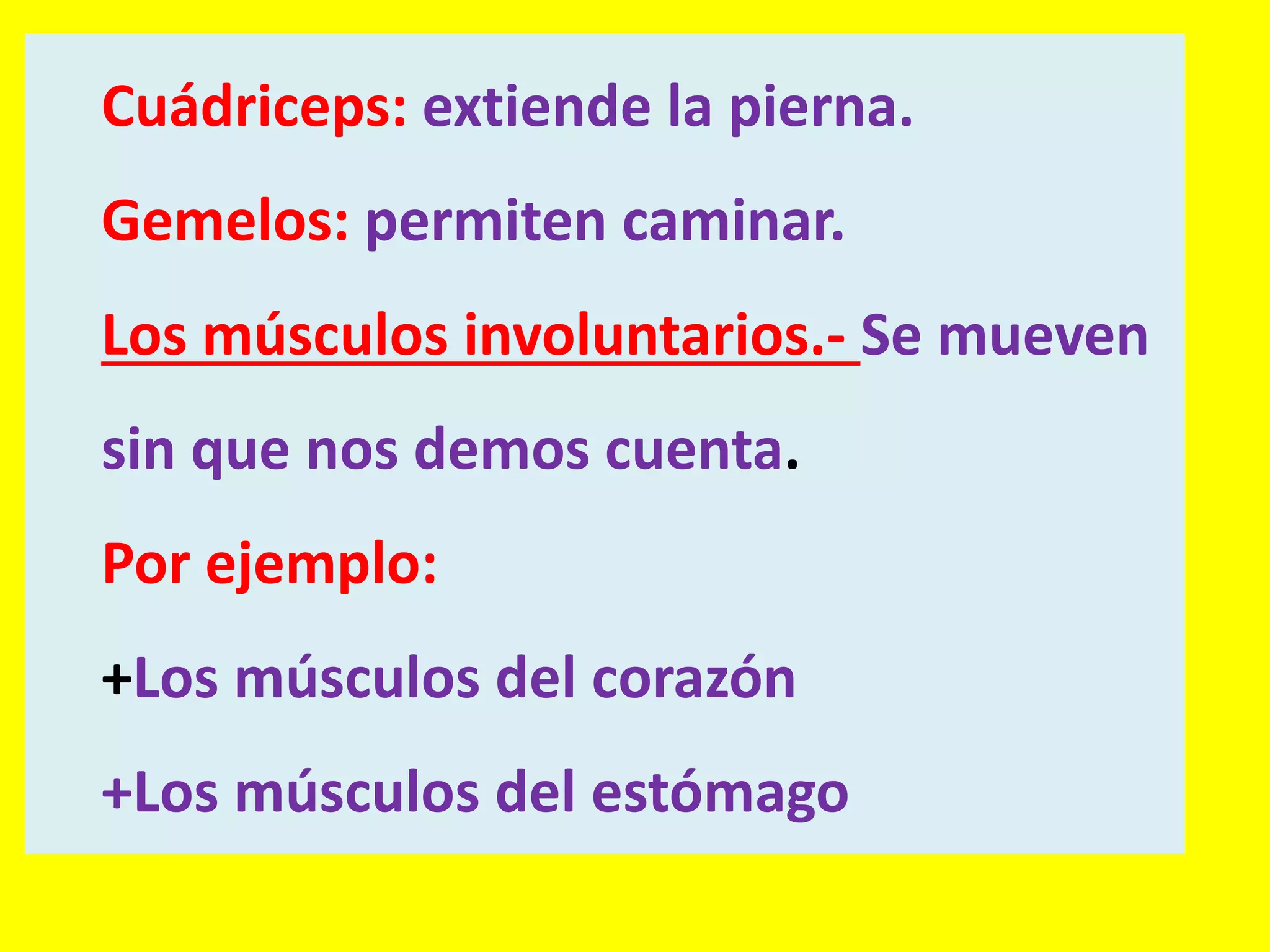 Clases musculos | PPT