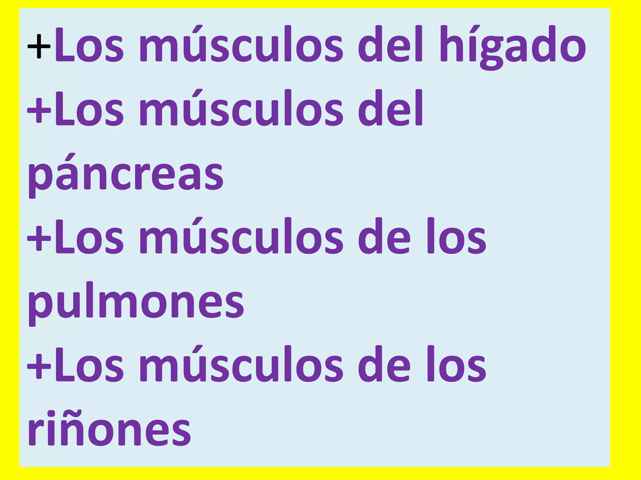 Clases musculos | PPT