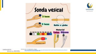 sondaje vesical, proceso completo para enfermeros profesionales | PPTX